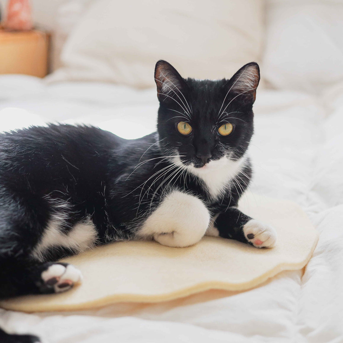 Wool Cat Mat – Sonoma Wool Company